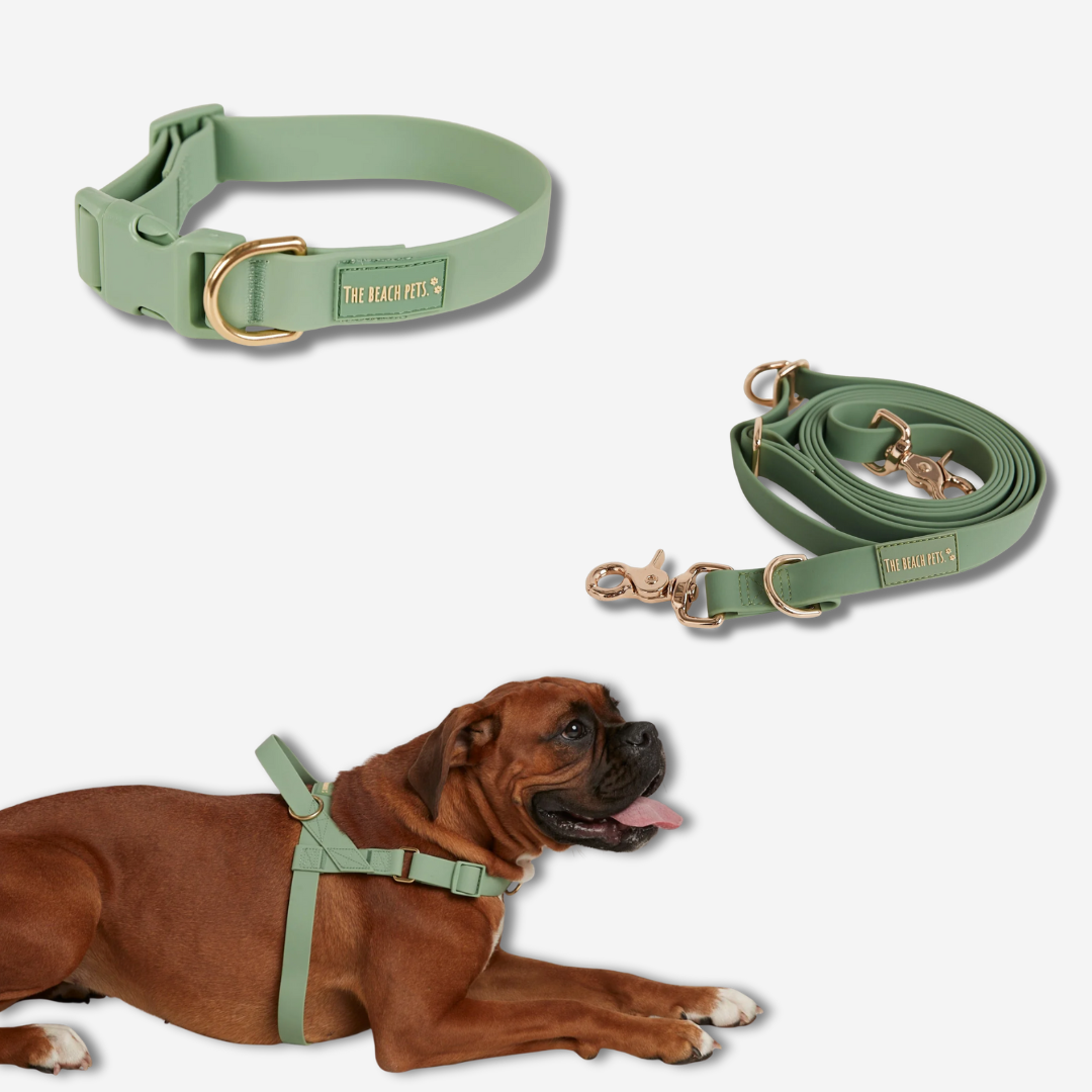 Hands Free Daily Pack – The Beach Pets