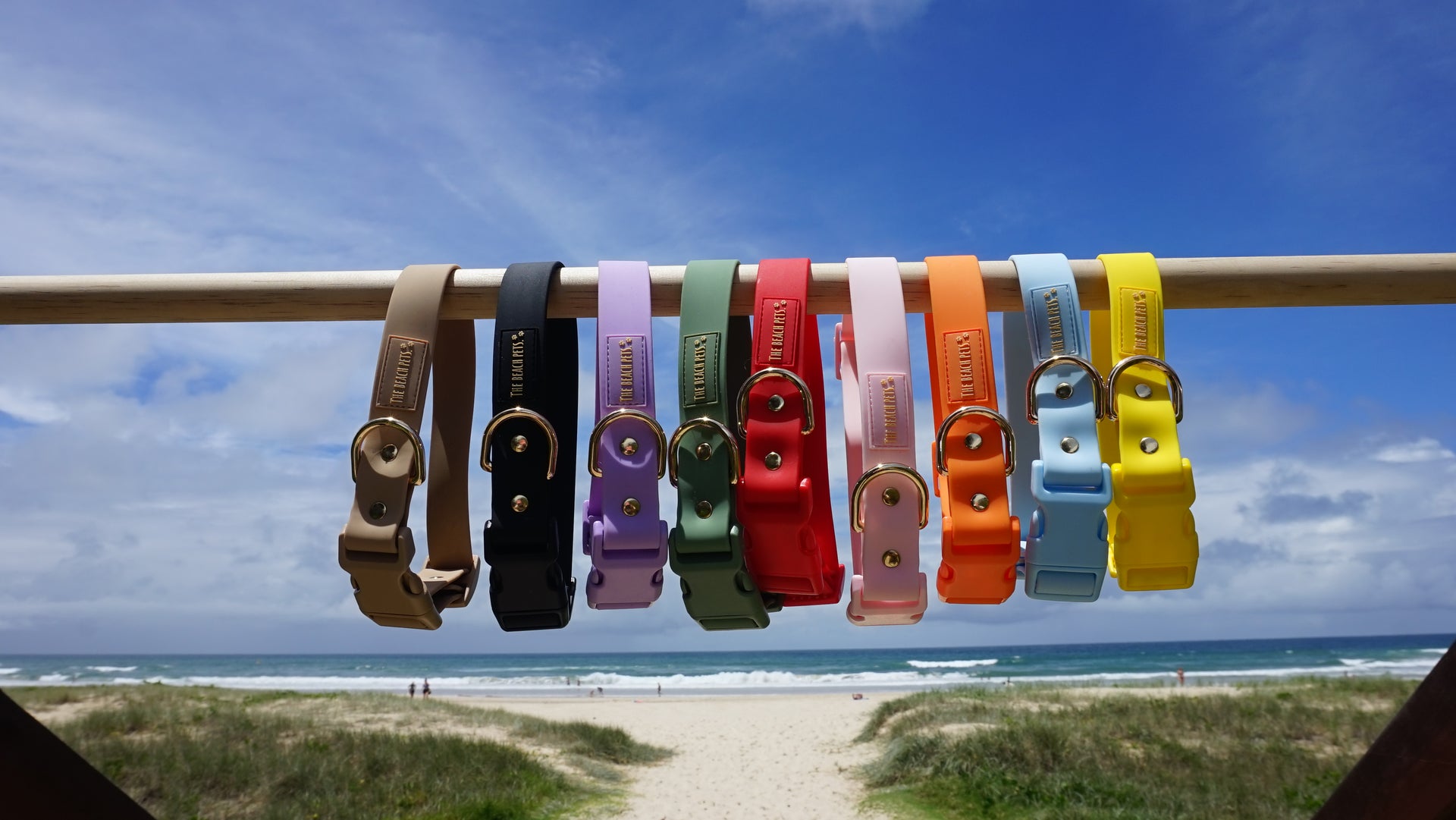 The Beach Pets: Australia's Most Durable Dog Collars and Leads.