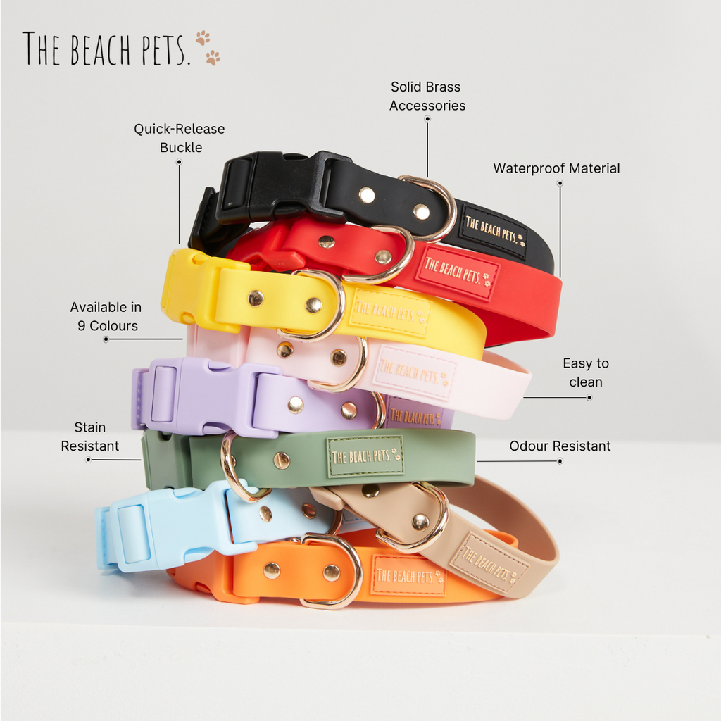 Waterproof Dog Collar - Butter Yellow – The Beach Pets
